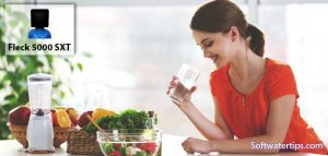 Fleck 5000 SXT Manual, Price, Installation & Features | Pentair Fleck 5000